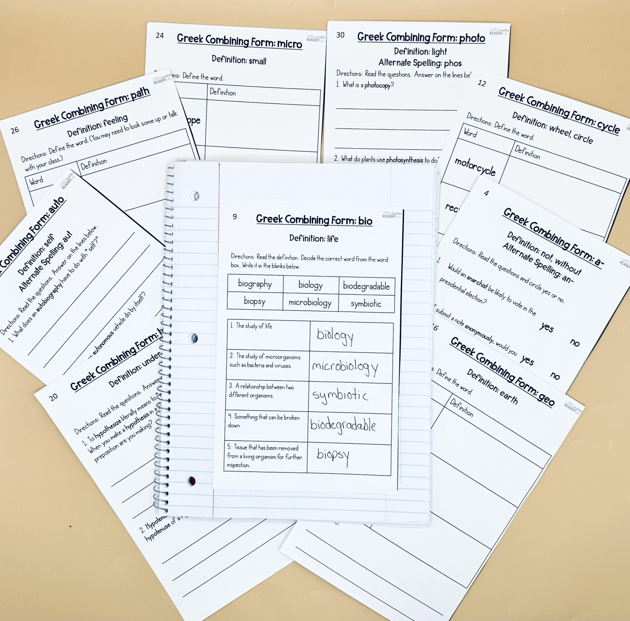 Interactive Notebooks: An Explicit Instruction Tool for All